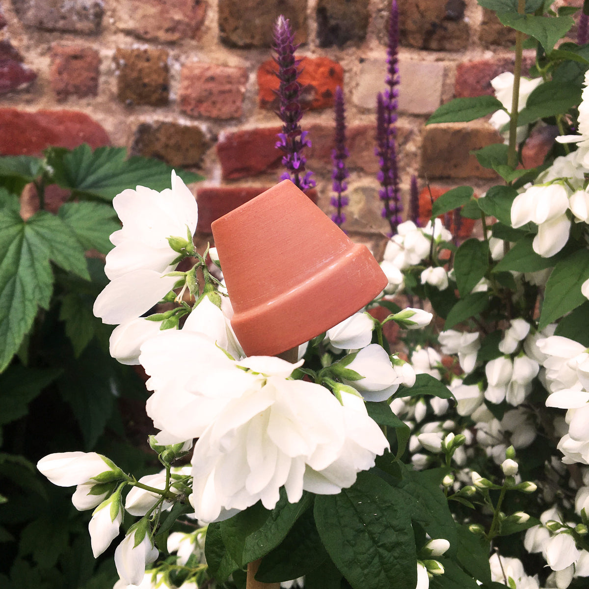 Terracotta garden cane toppers (Box of 10 or 20) – Terratoppers